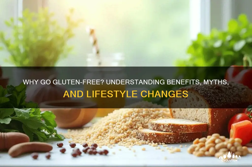Why Go Gluten-Free? Understanding Benefits, Myths, And Lifestyle ...